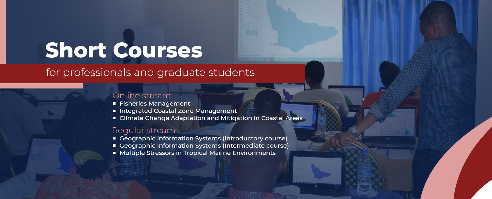 Africa Centre of Excellence in Coastal Resilience (ACECoR)